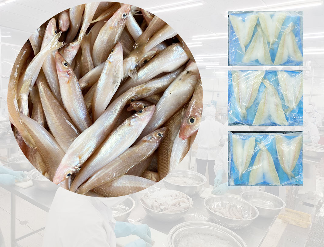 Galleries - Tung Kong Seafood Ice Co.,Ltd