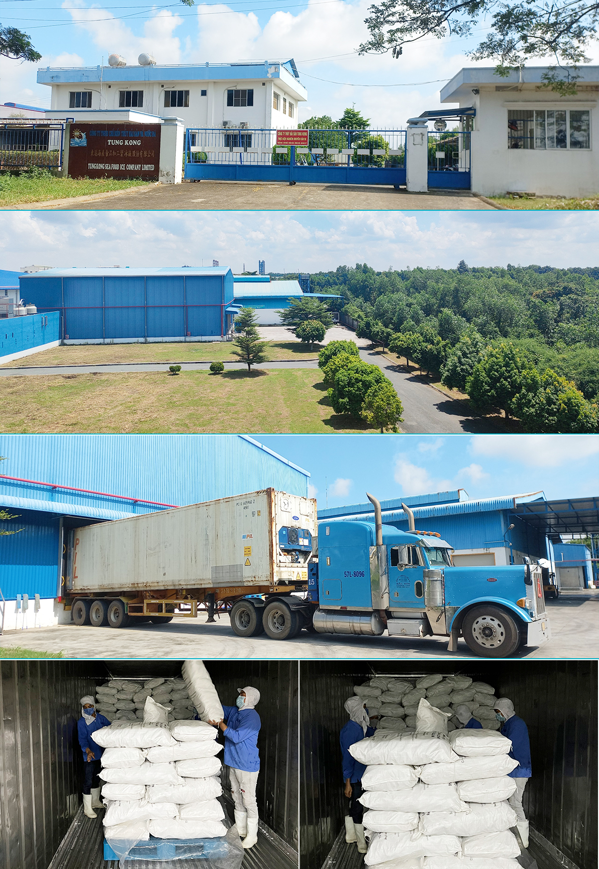 About Us - Tung Kong Seafood Ice Co.,Ltd